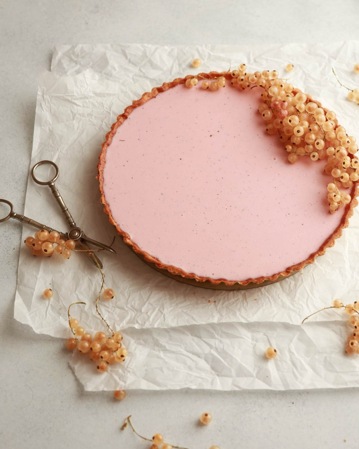 Red Currant-Vanilla Panna Cotta Tart - Pastry and Prose